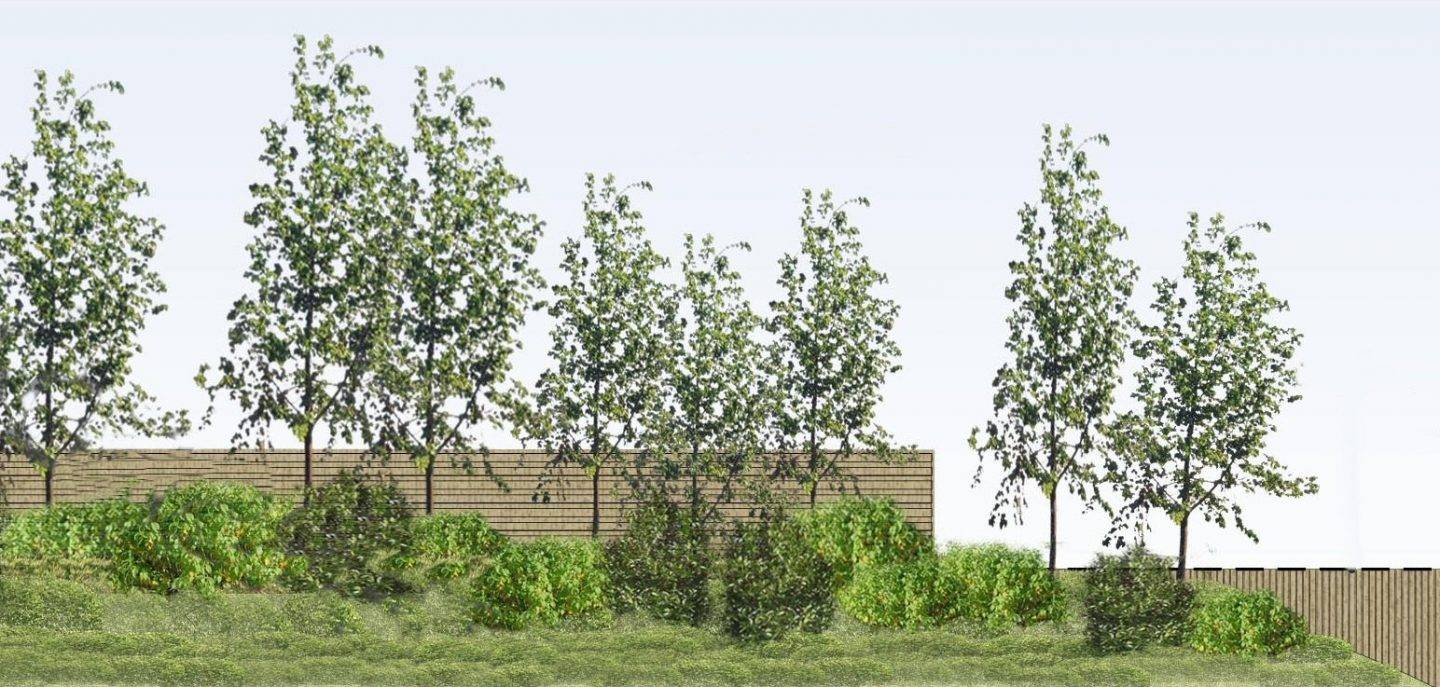 Planted & Landscape Bund Irrigation | Access Irrigation