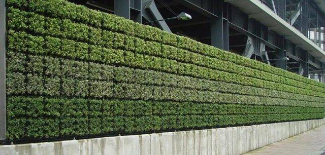 Green Wall Irrigation Systems | Access Irrigation