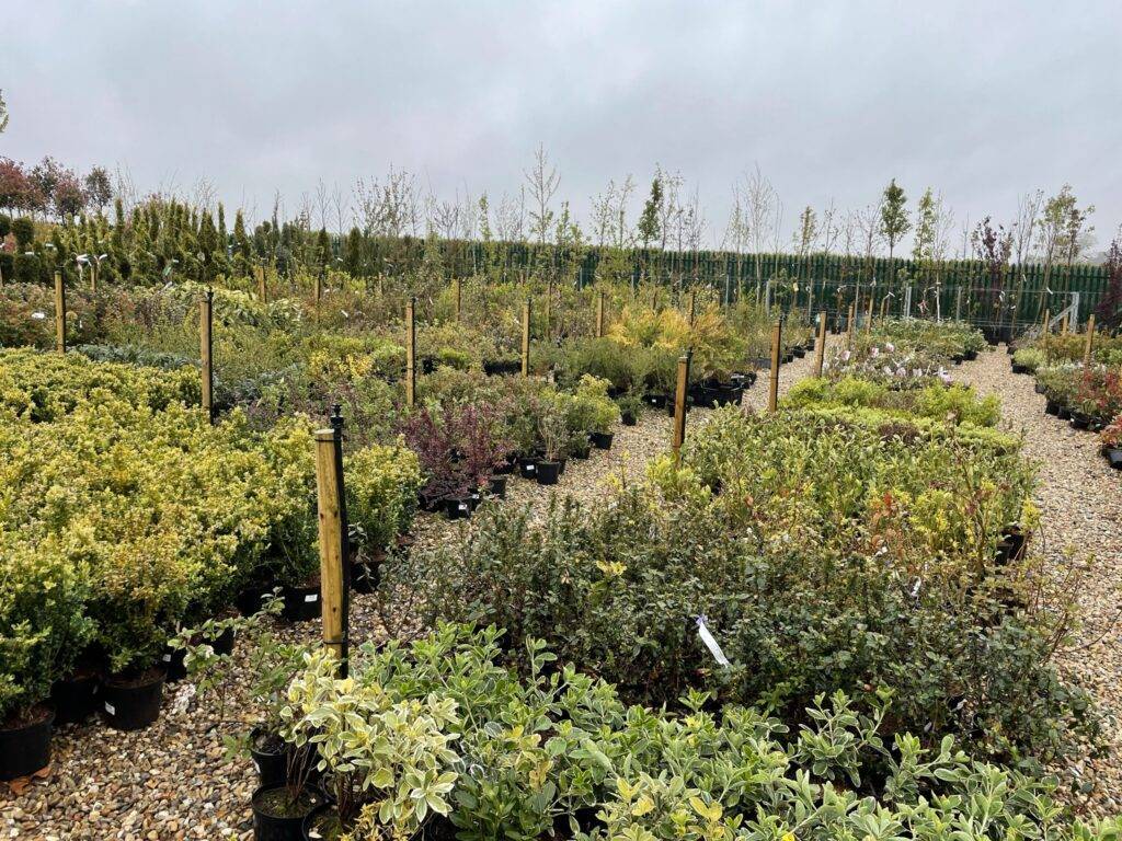 Sprinkler Stake Riser | Buy Online from Access Irrigation