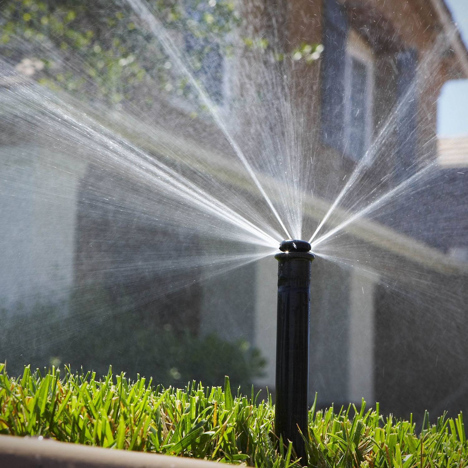 Installing Lawn Popup Sprinklers in Autumn - Access Irrigation