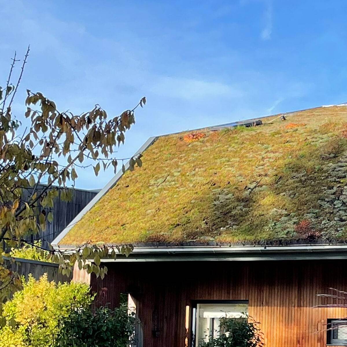 Green Roof Watering Kit | Buy Online from Access Irrigation